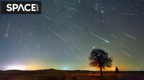 Official WTFDA Website | A DXing Site